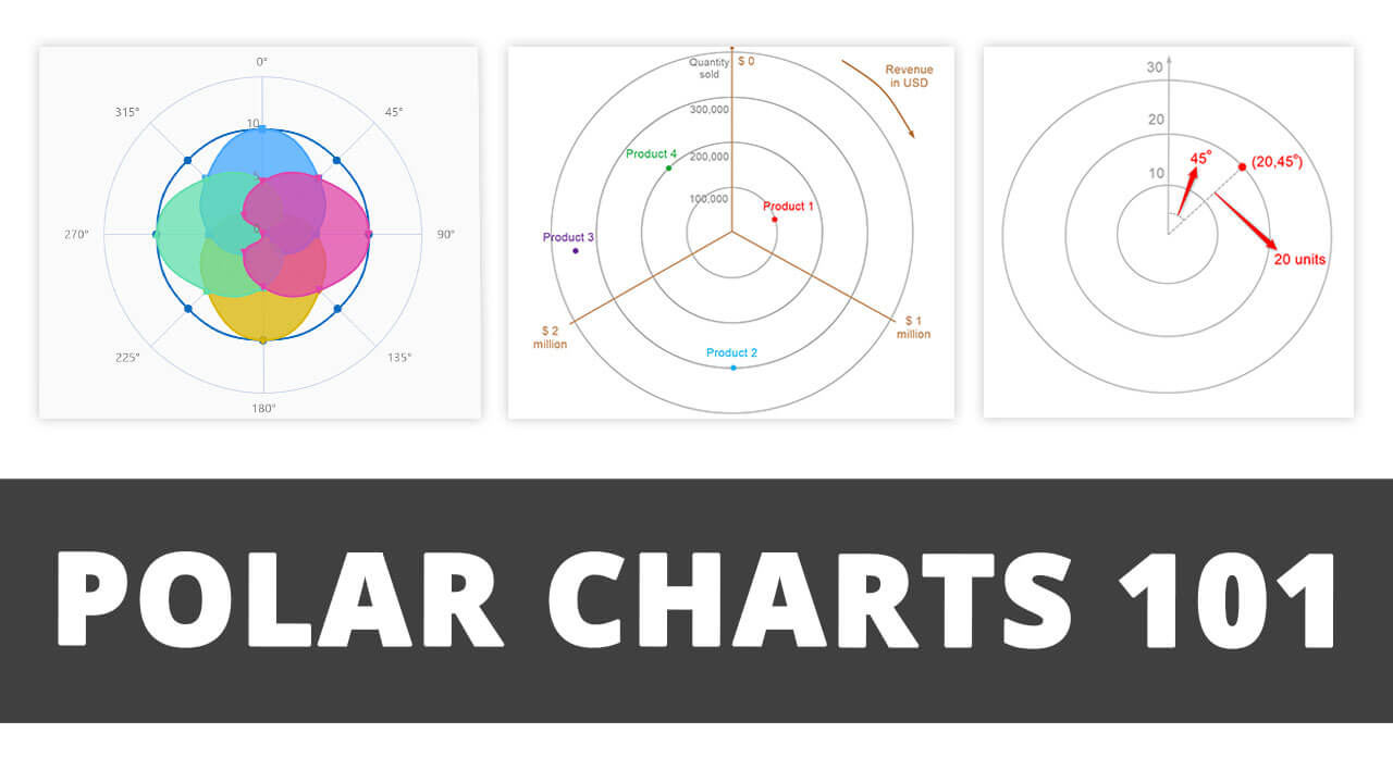 Polar charts 101: An in-depth guide - Inforiver